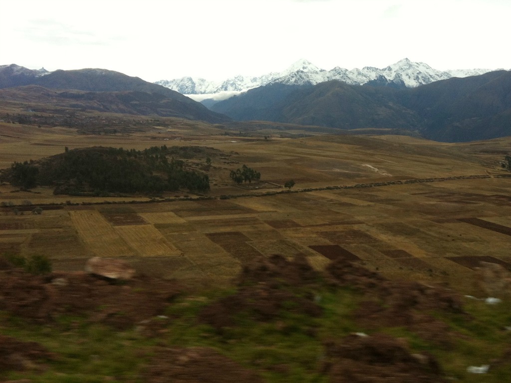 Peru farming